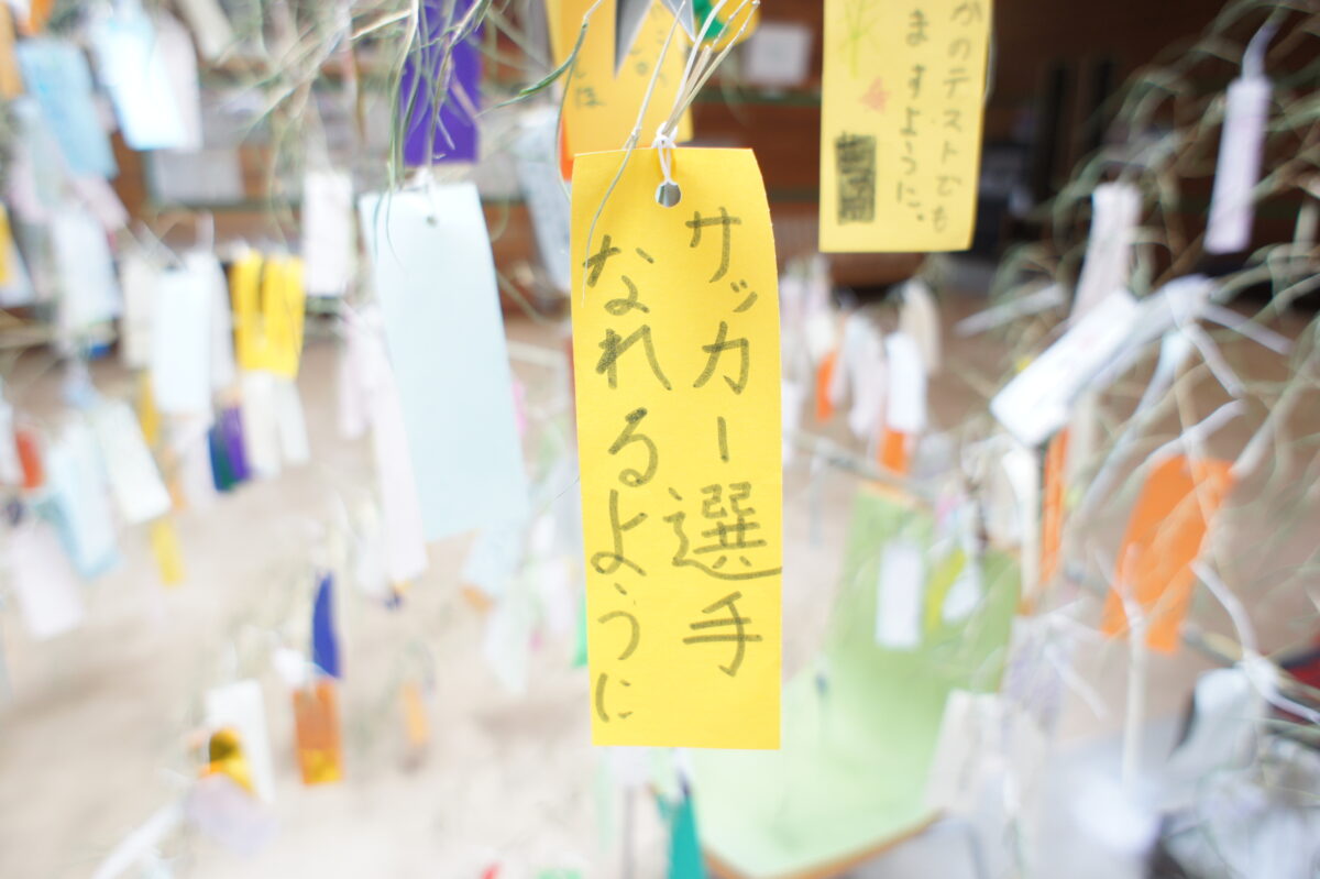 もうすぐ七夕 | 洞峰公園 公園NEWS