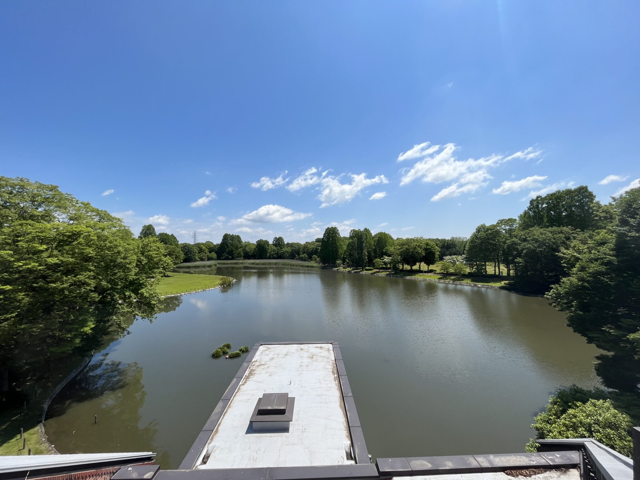 【洞峰さんぽ ～いいとこ発見～】vol.1 | 洞峰公園 公園NEWS